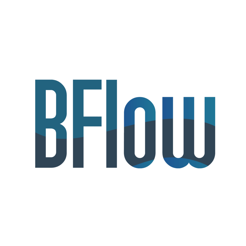 BFlow | Consulting and Developing with Care | BFlow
