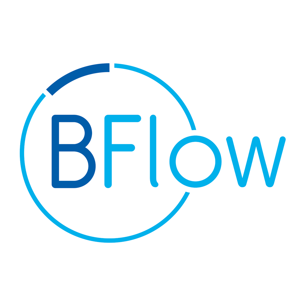 BFlow | Consulting and Developing with Care